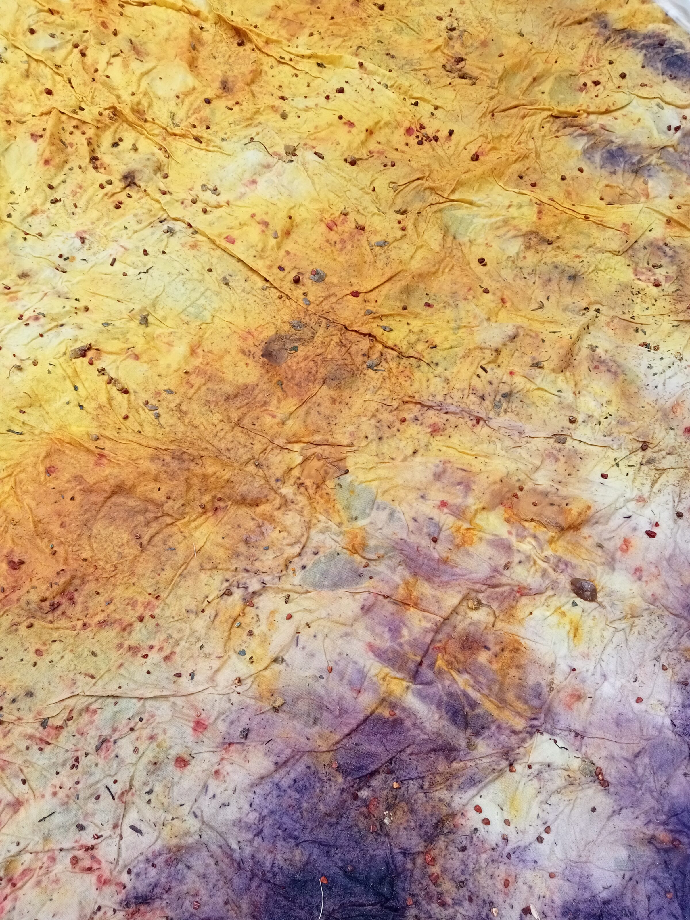 Eco-dyeing: how to extract pigments from plants! – Crescent Arts