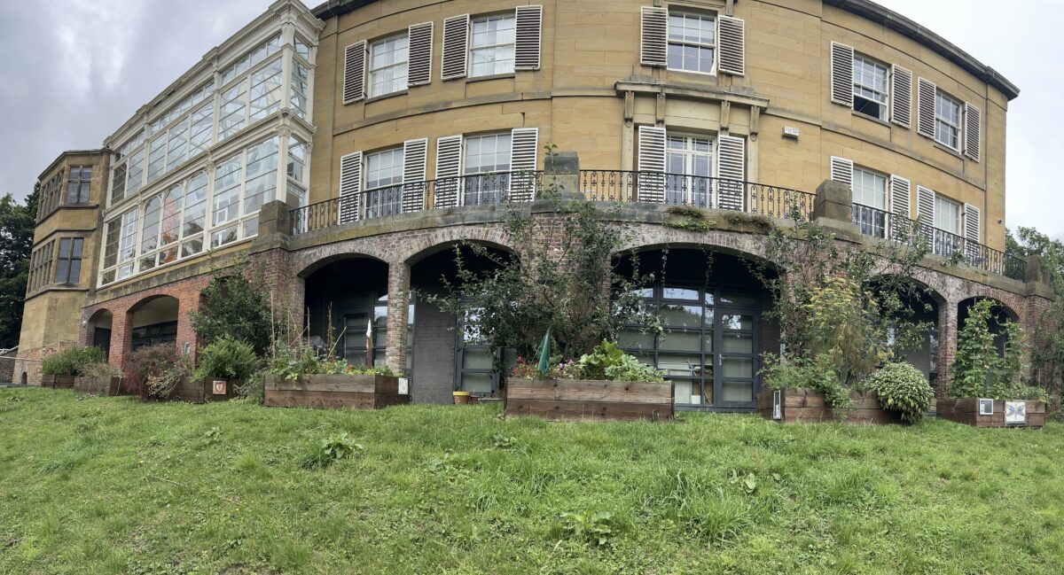 COMMUNITY GARDEN // Meg Woodward-Hay – Crescent Arts