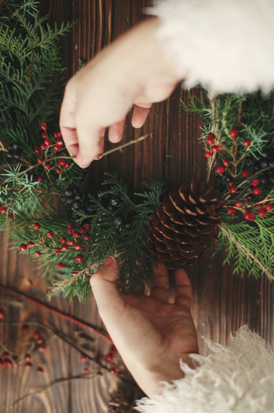 Meg Woodward-Hay artist led workshops – Crescent Arts