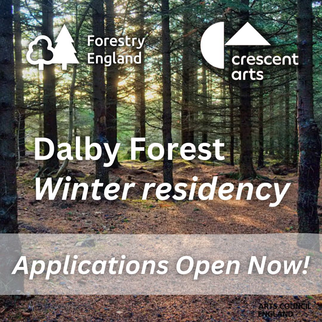 Dalby Forest Winter Residency – Crescent Arts